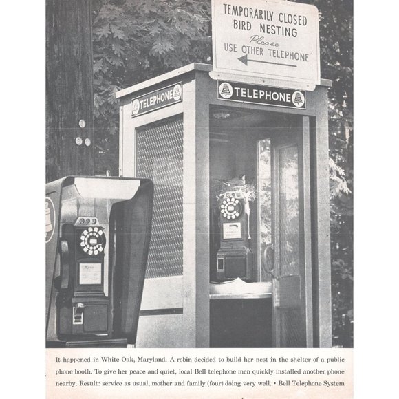 Bell Telephone | Art | 961 Bell Telephone Booth Vintage Print Ad Bird ...